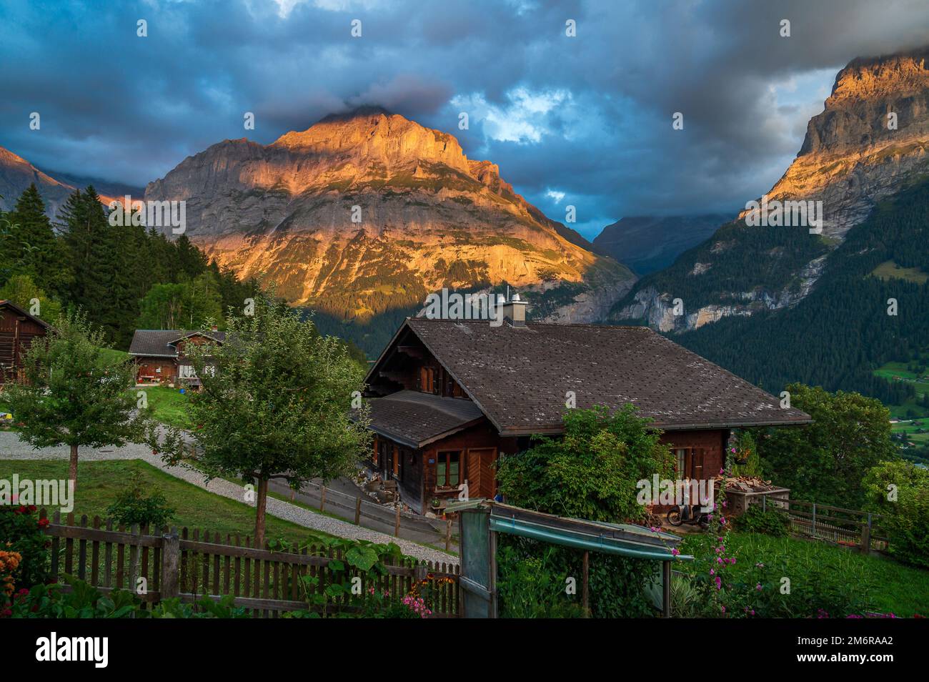 Grindelwald Valley at the Sunset Stock Photo - Alamy