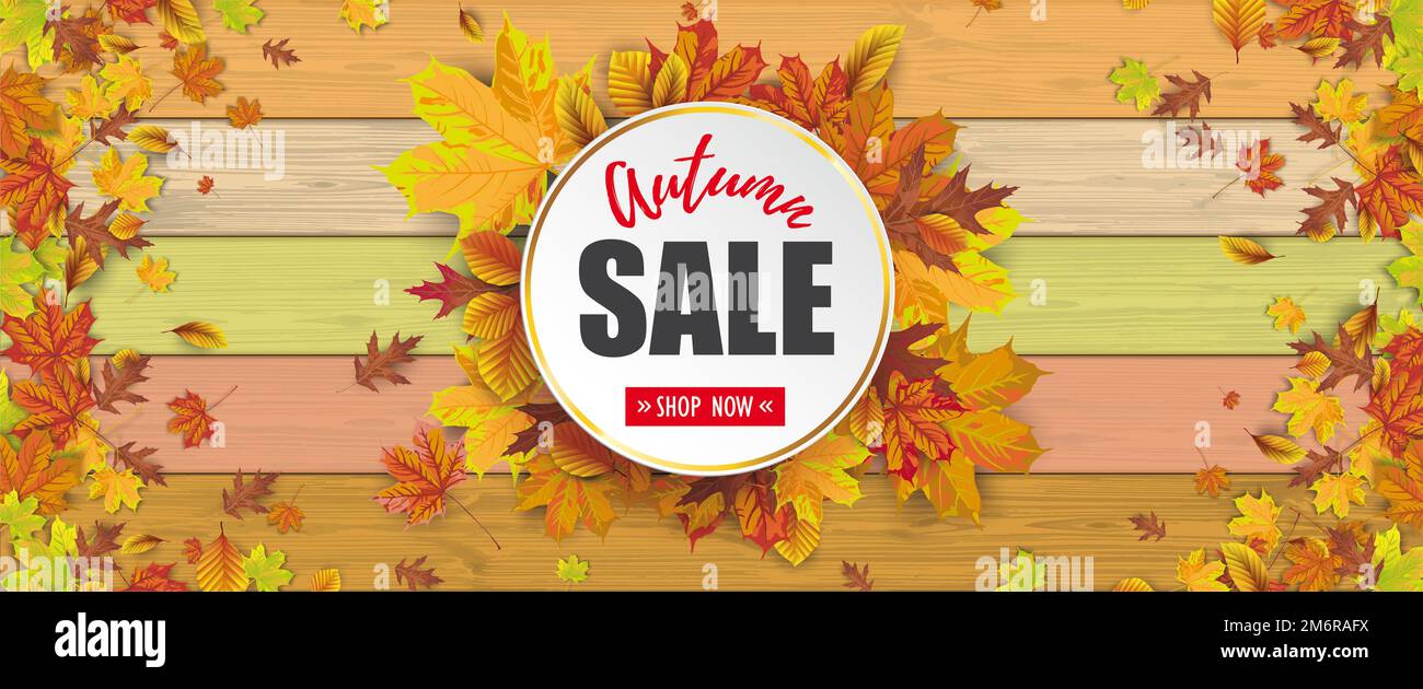 Autumn Colors Wooden Planks Foliage Sale Emblem Header Stock Photo - Alamy