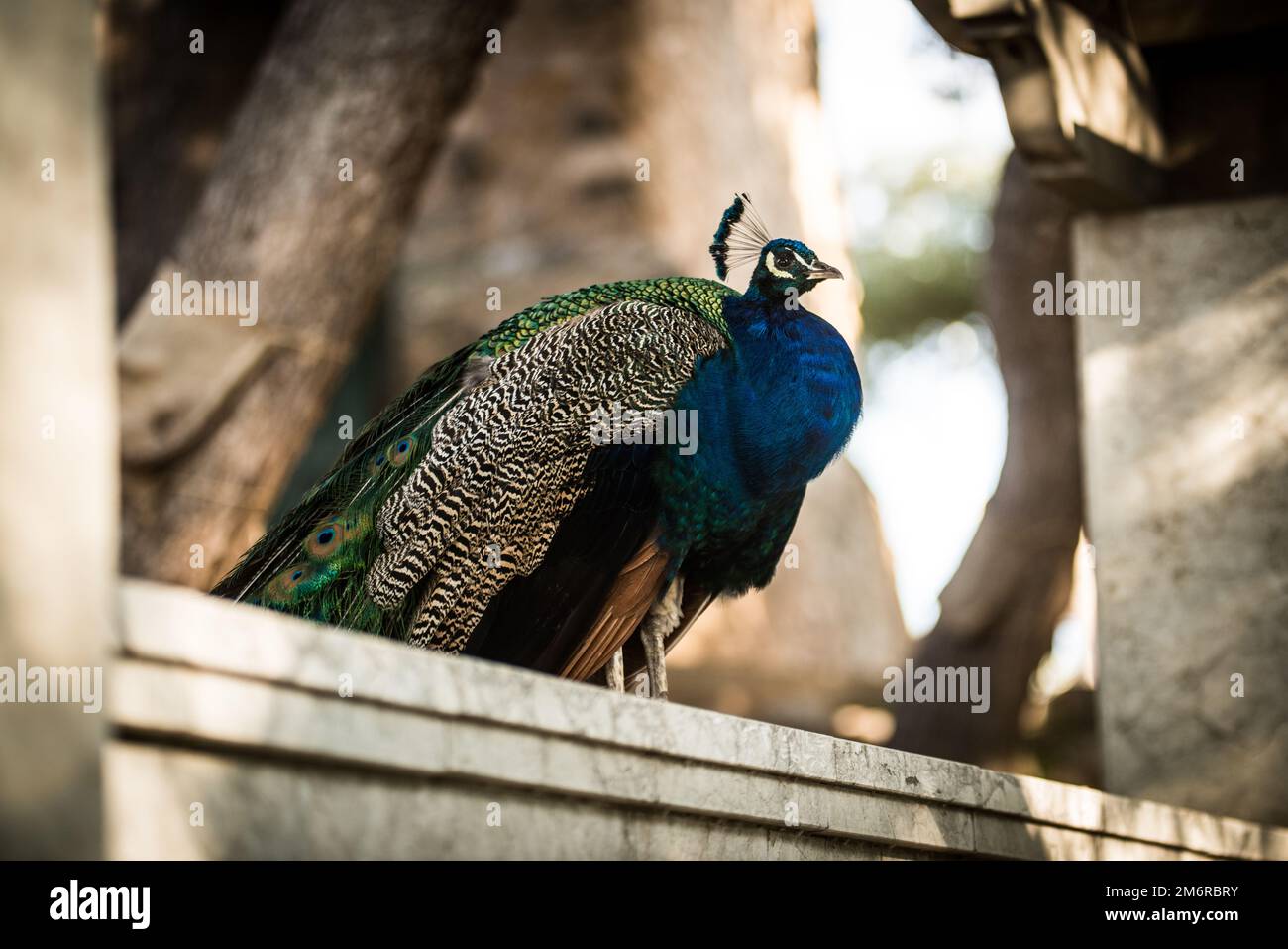 Cartagena, Murcia, Espana Stock Photo - Alamy