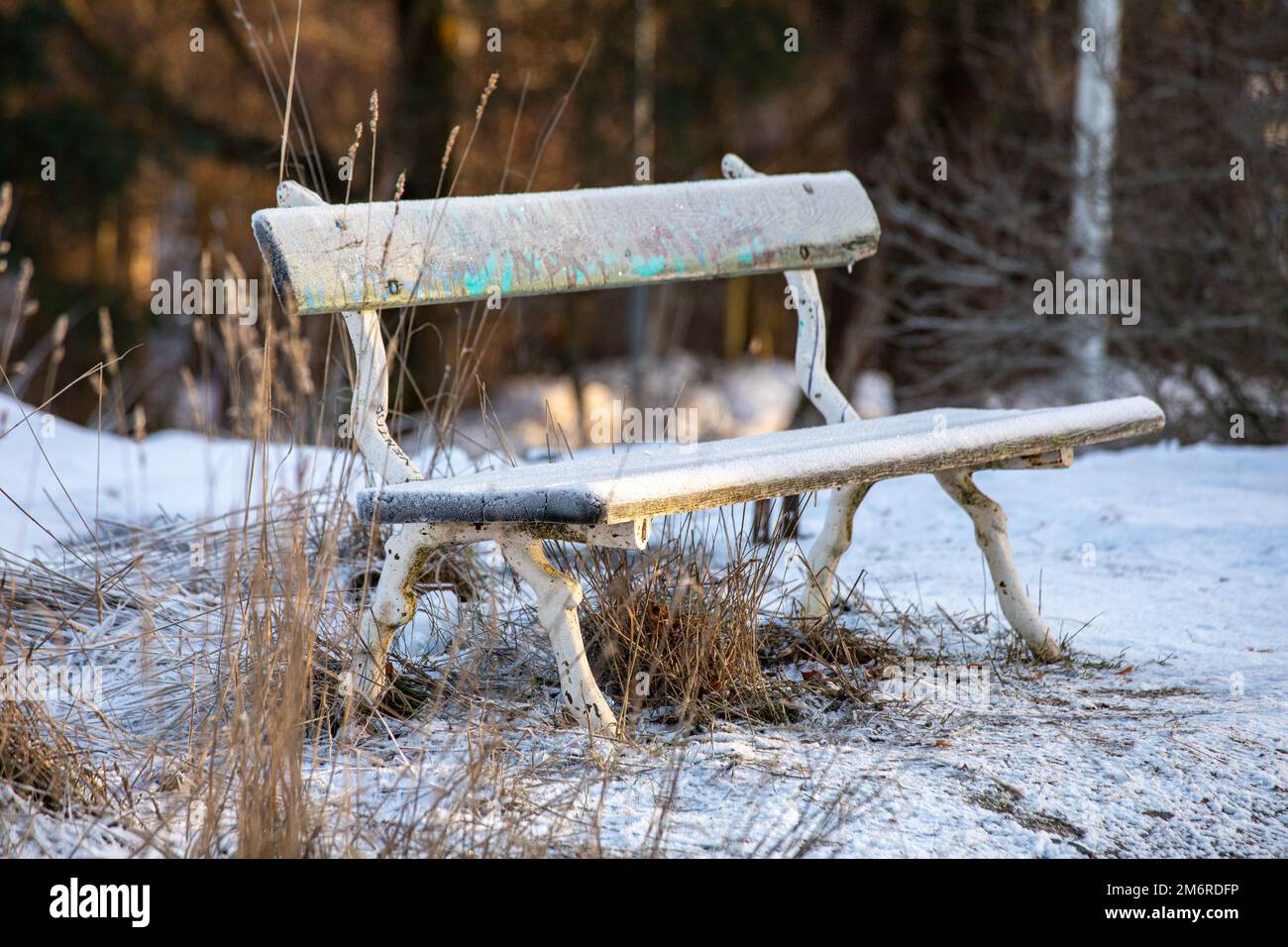 Frost covered park bench in winter Stock Photo - Alamy