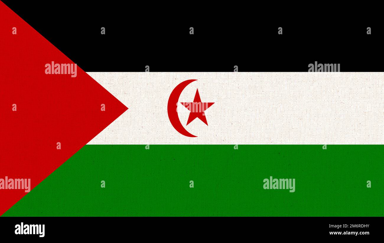 Flag of Western Sahara. flag of Sahrawi Arab Democratic Republic on ...