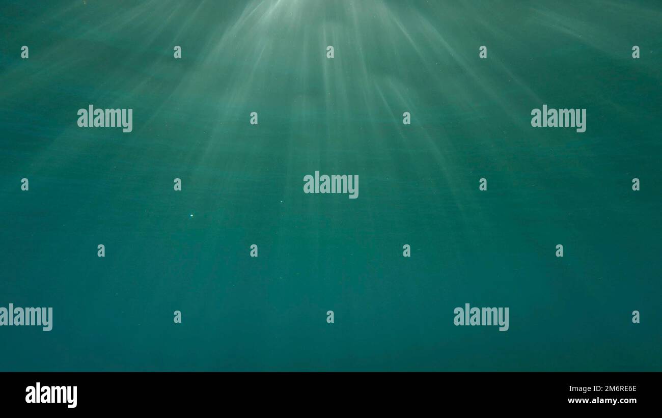 Sunrays penetrate through the surface of the water. Underwater light ...