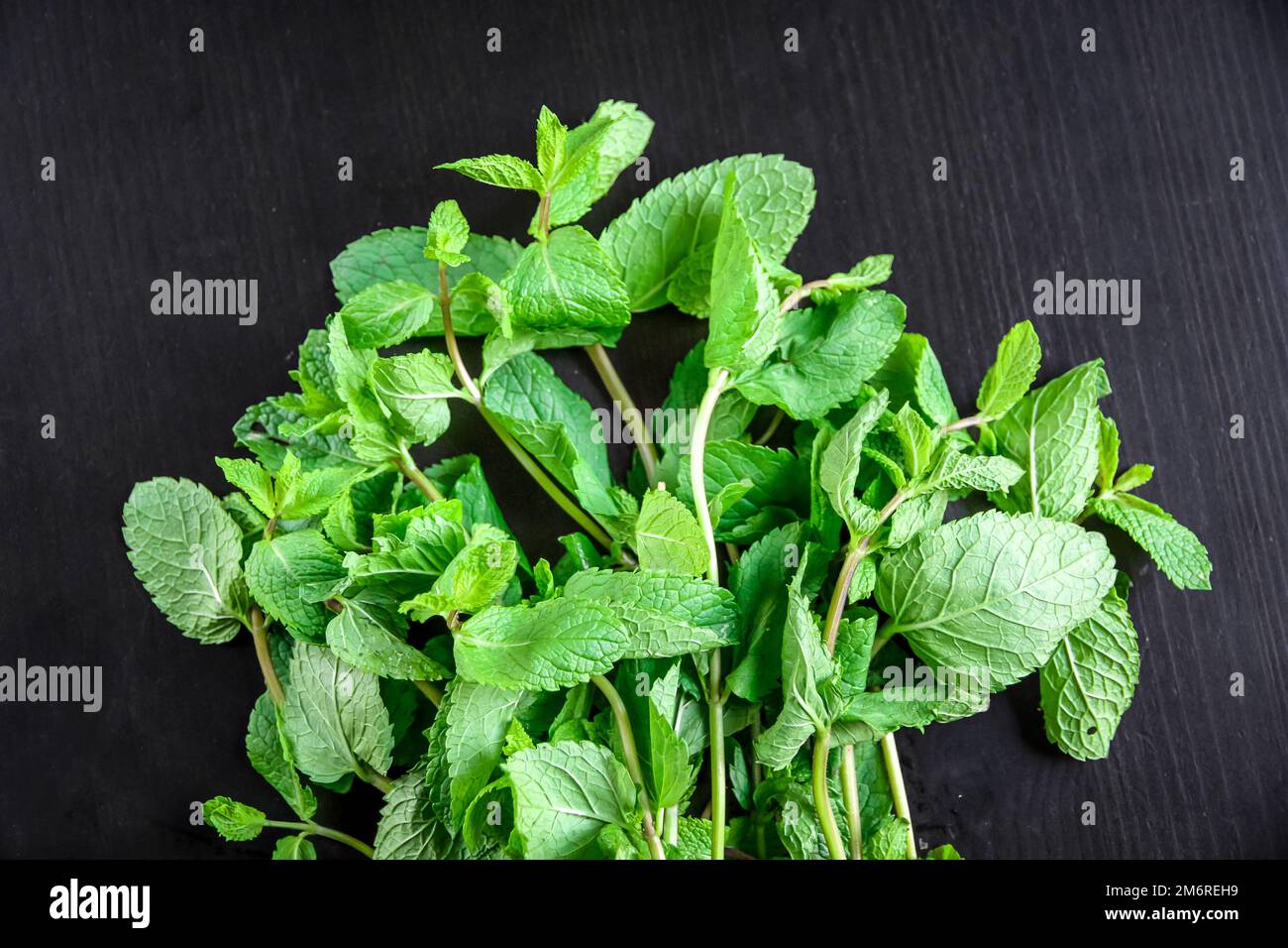 Bunch of fresh mint Stock Photo - Alamy
