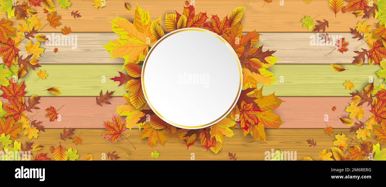 Autumn Colors Wooden Planks Foliage Emblem Header Stock Photo - Alamy