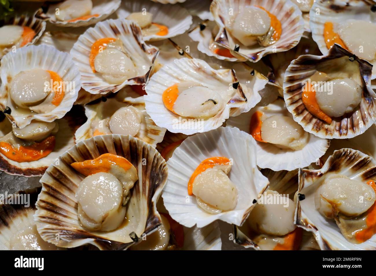 Scallops, Campo de la Pescaria fish hall, Rialto market, San Polo ...