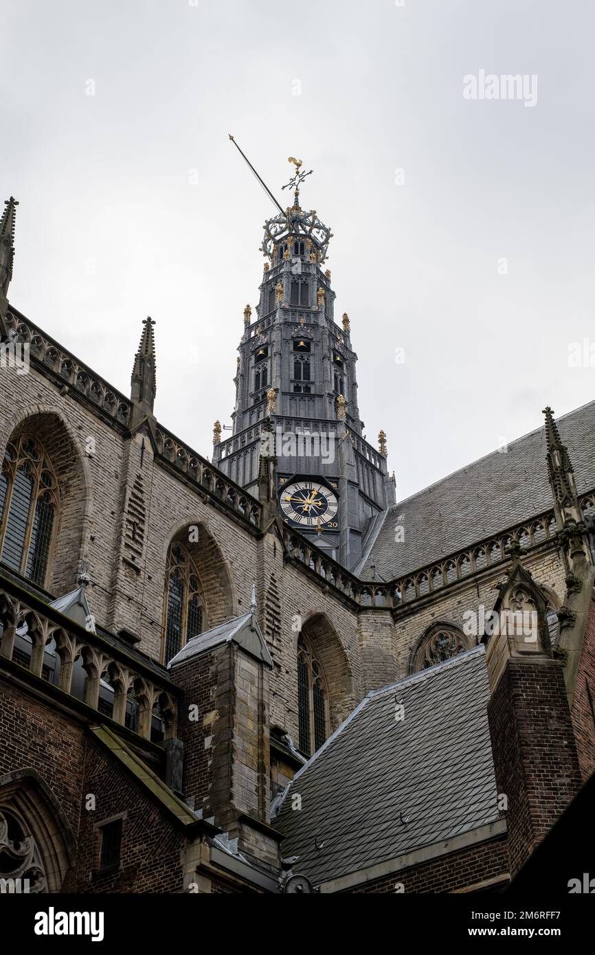The Grote Kerk or St.-Bavokerk is a Catholic cathedral in Grote Markt ...