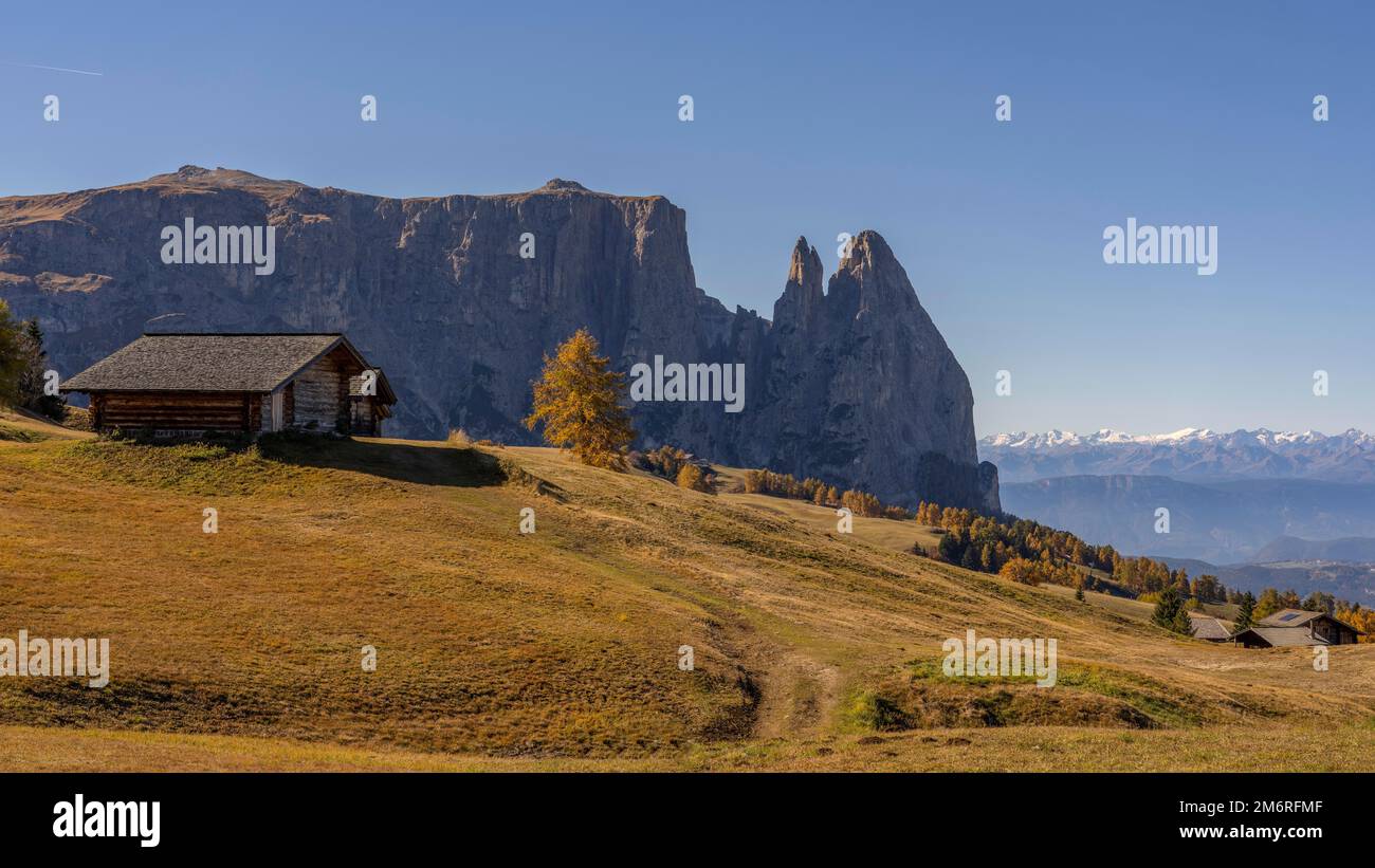 Seiser Alm in Autumn, Seiser Alm, Sud Tirol, Italy Stock Photo - Alamy
