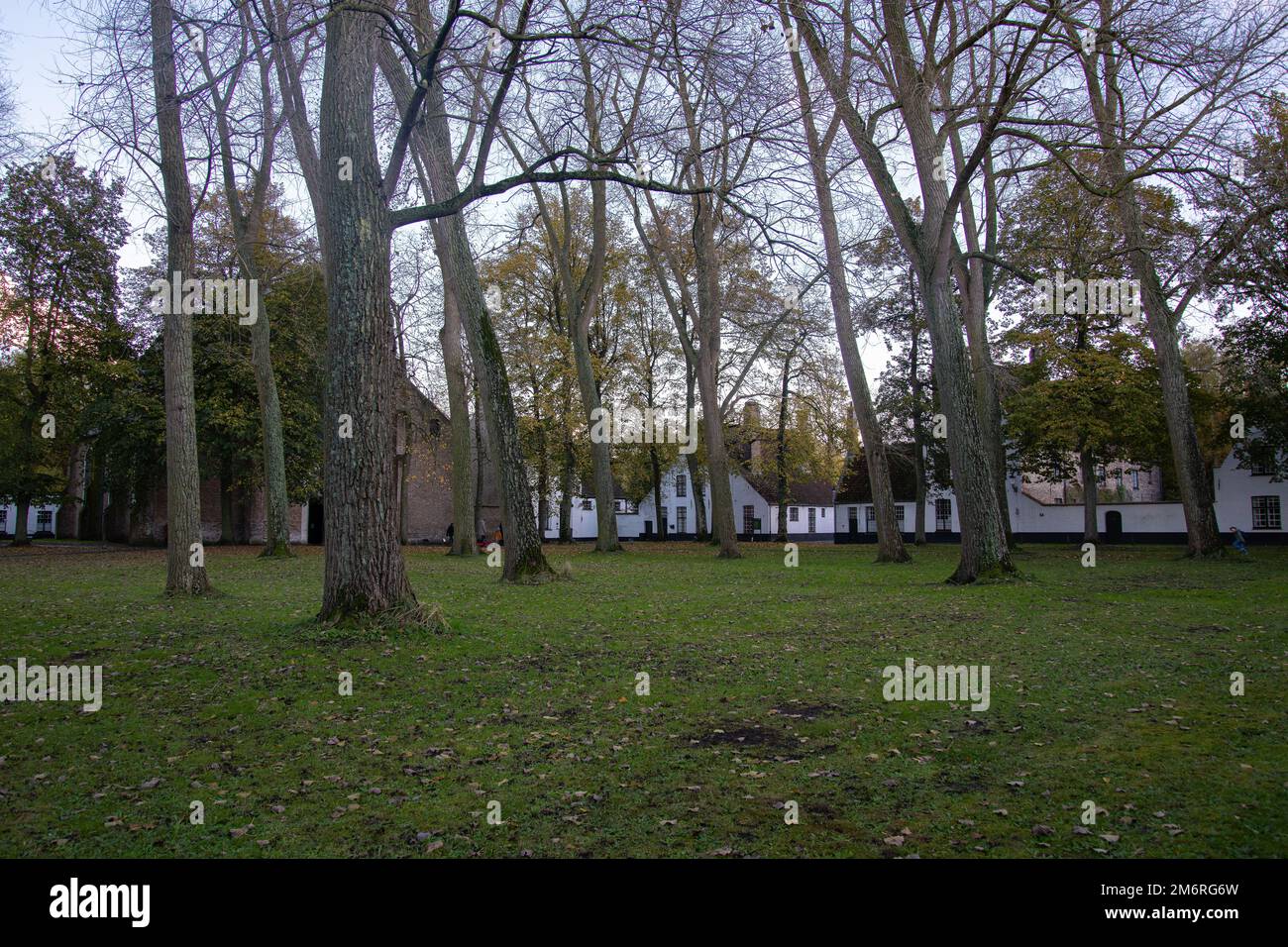 Beginhof is a beautiful courtyard with an ancient poorhouse (hofje) in ...