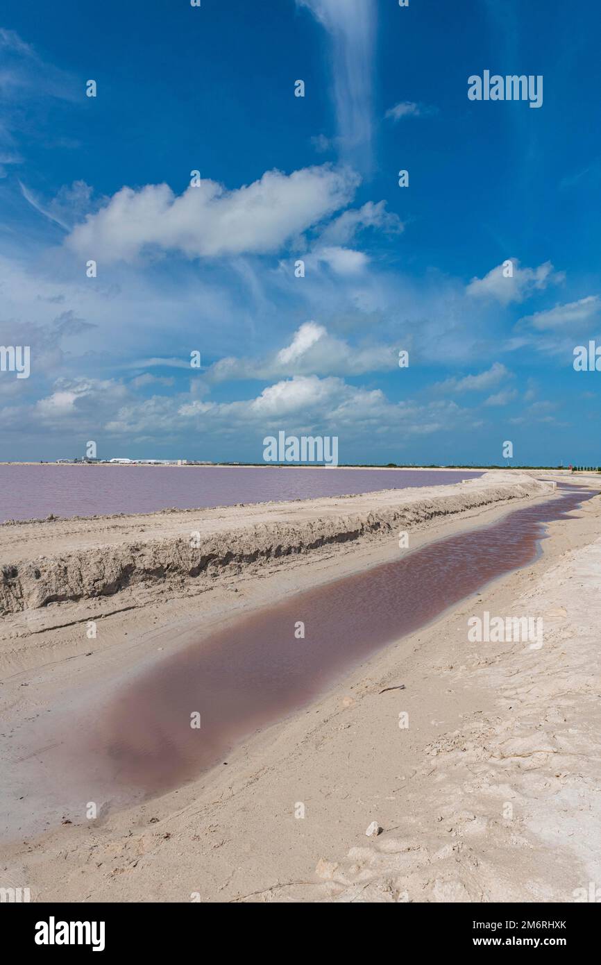 The colourful salinas of Las Coloradas, Yucatan, Mexico Stock Photo - Alamy