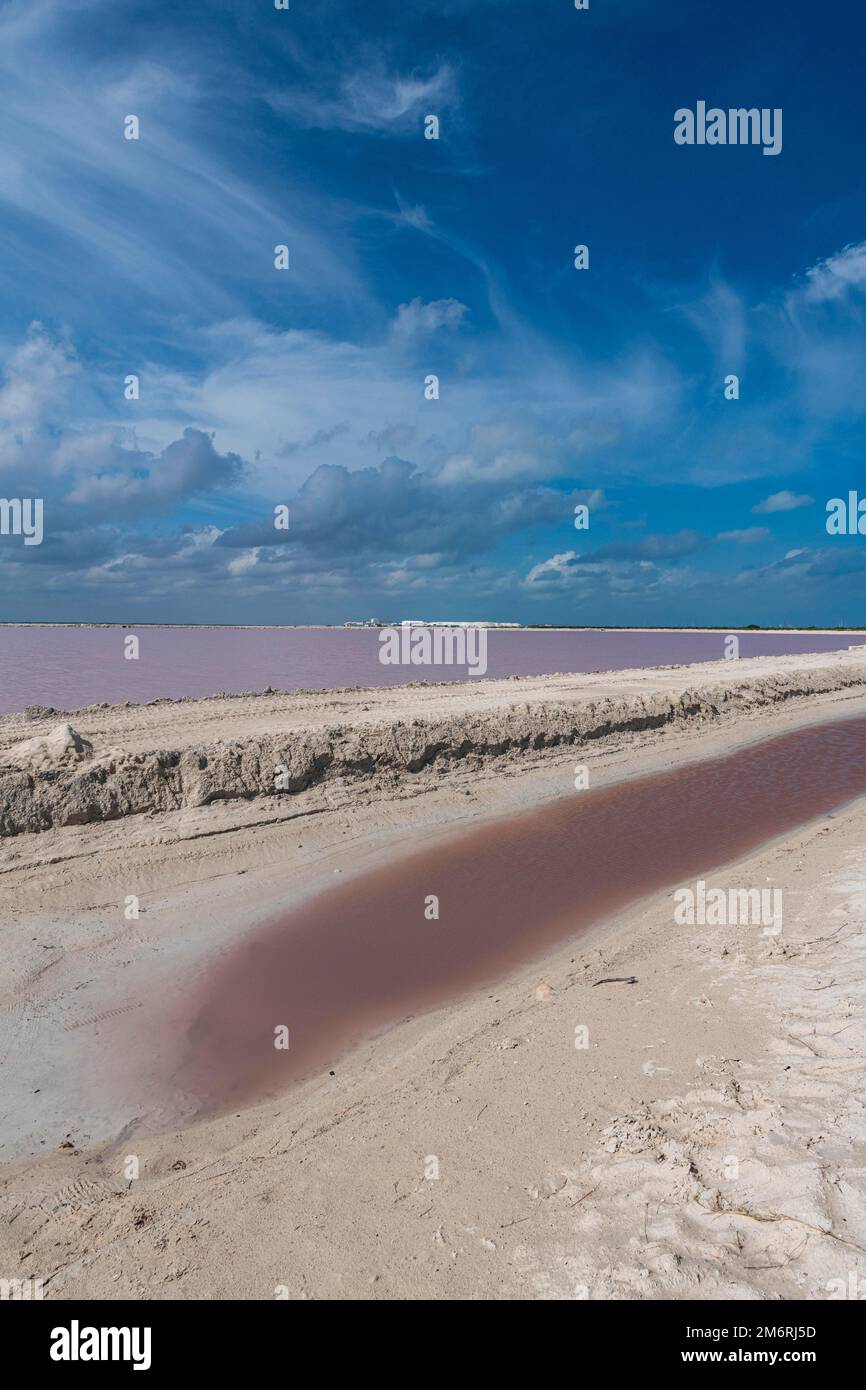 Salinas of las coloradas hi-res stock photography and images - Alamy
