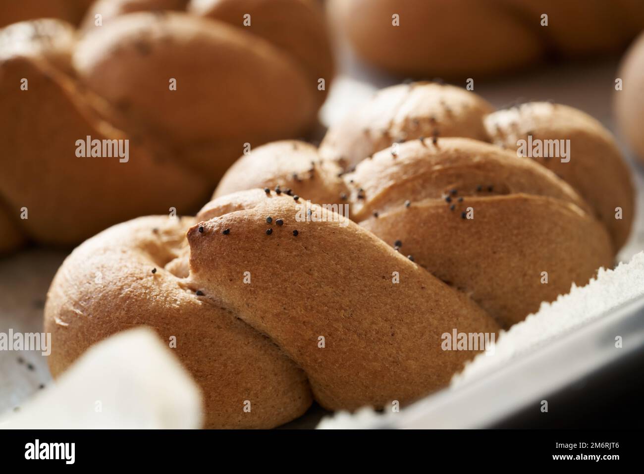 Homemade braided bread rolls or buns baked from whole grain spelt flour ...
