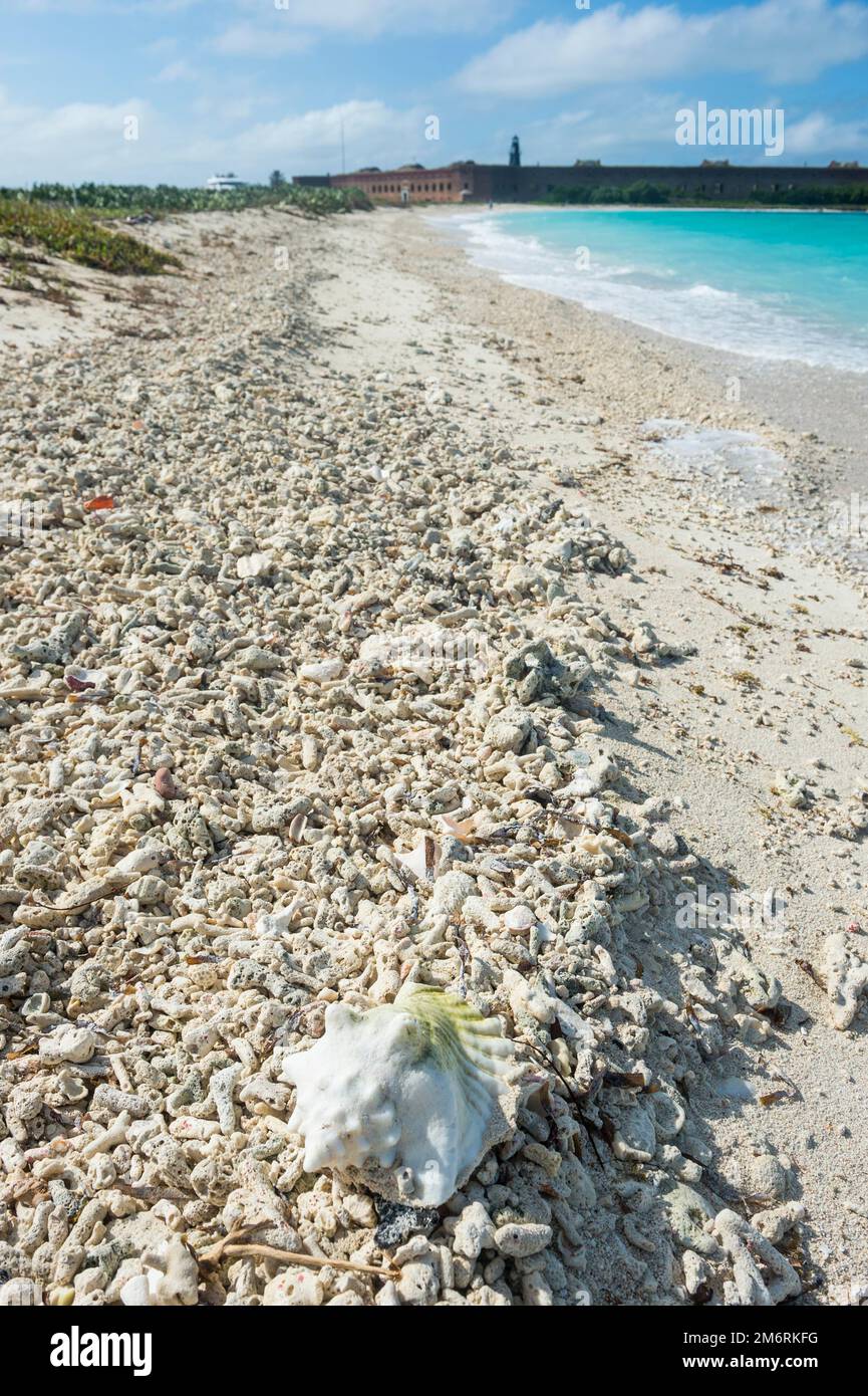White sand beach with Fort Jefferson in the background, Dry Tortugas ...