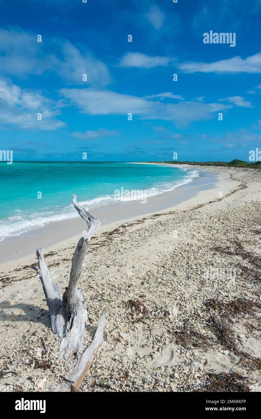 White sand beach in turquoise waters, Dry Tortugas National Park ...