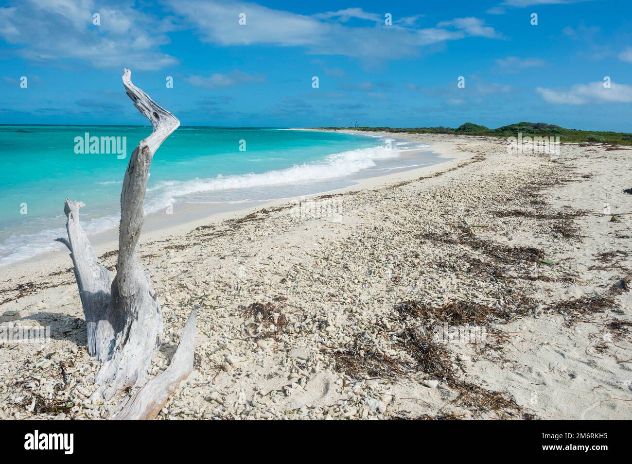 White sand beach in turquoise waters, Dry Tortugas National Park ...