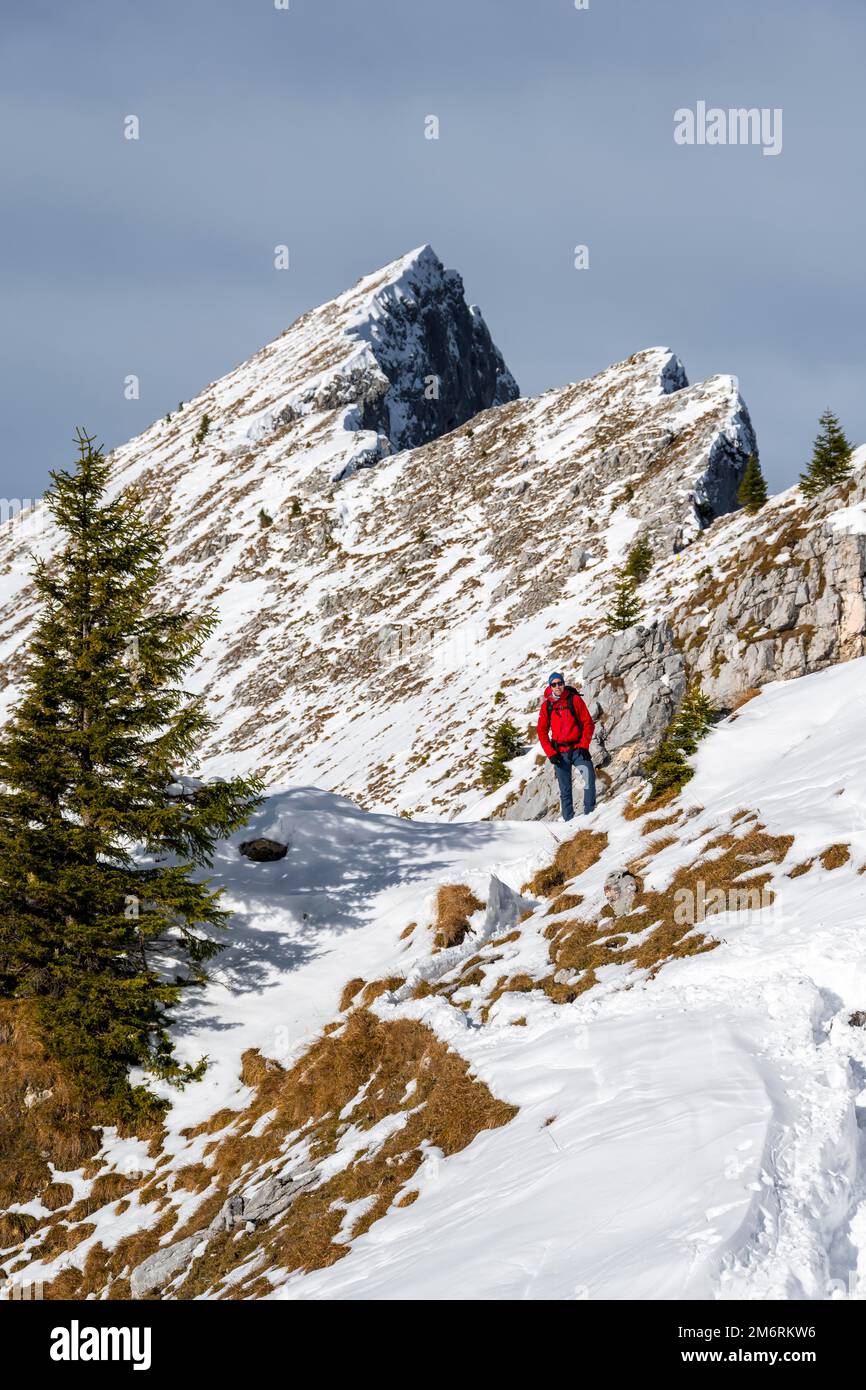 Hikers on a hiking trail in winter, path to Ammergauer Hochplatte ...
