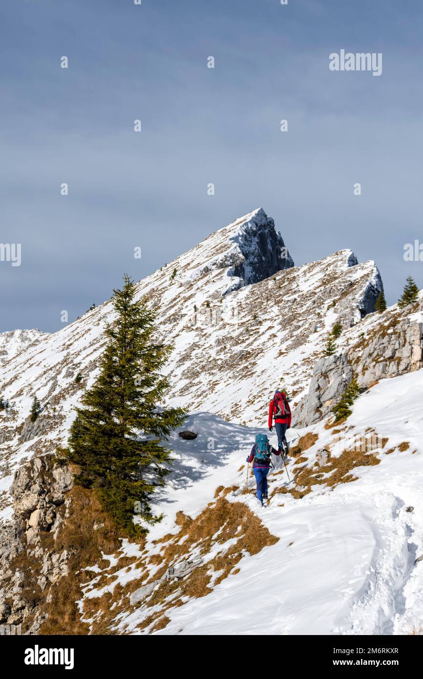 Hikers on a hiking trail in winter, path to Ammergauer Hochplatte ...