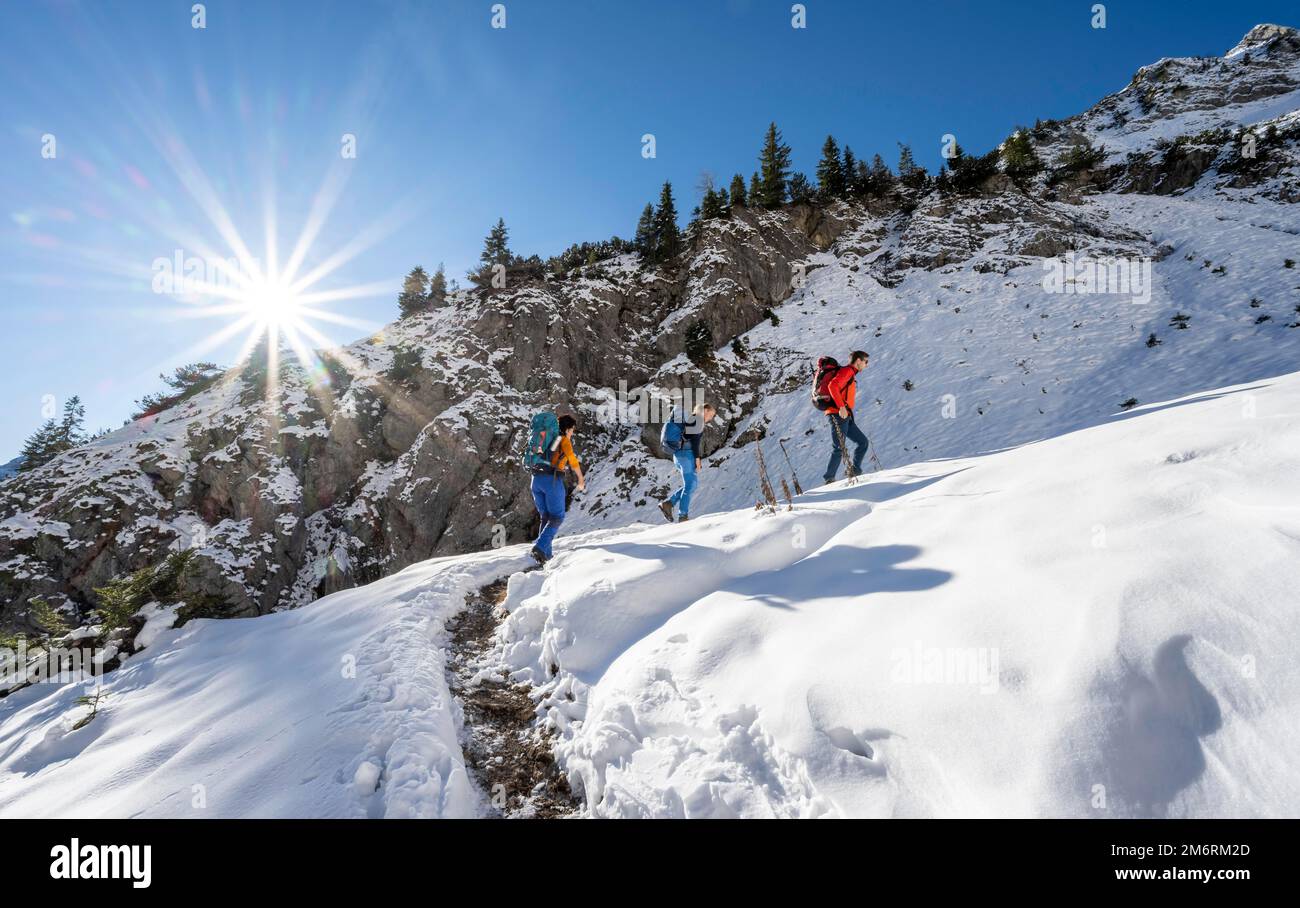 Mountaineer on hiking trail in winter with snow, path to Ammergauer ...