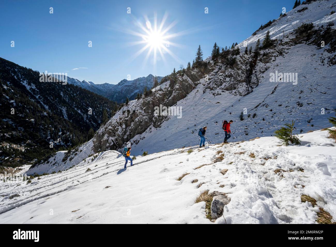 Mountaineer on hiking trail in winter with snow, path to Ammergauer ...