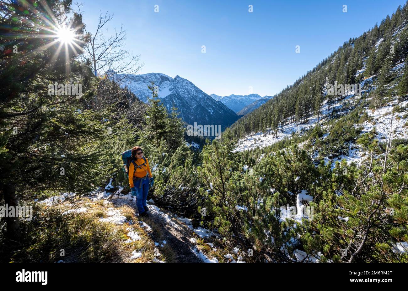 Hikers on a hiking trail in winter, path to Ammergauer Hochplatte ...