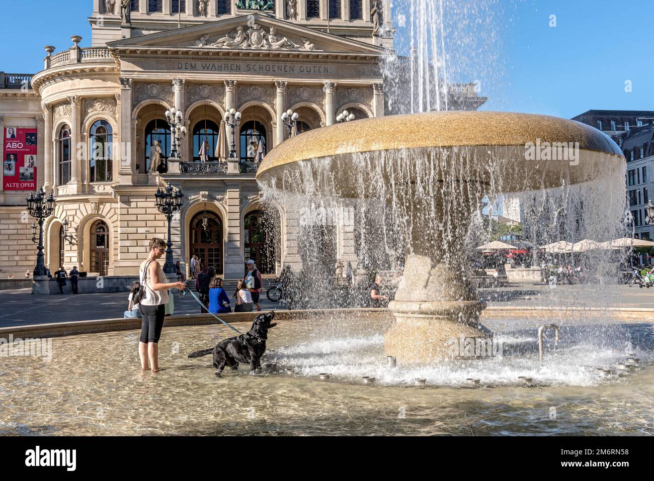 Edwin hueller hi-res stock photography and images - Alamy