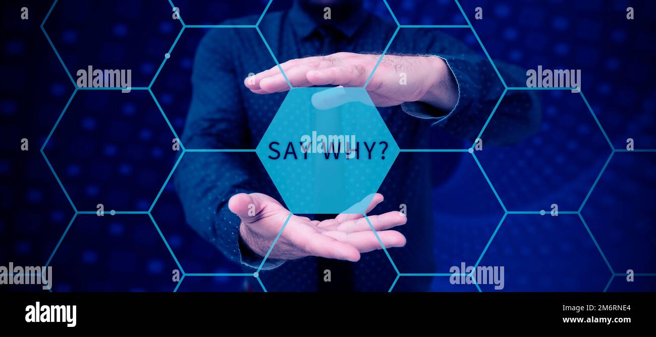 Conceptual display Say Why. Internet Concept Give an explanation ...