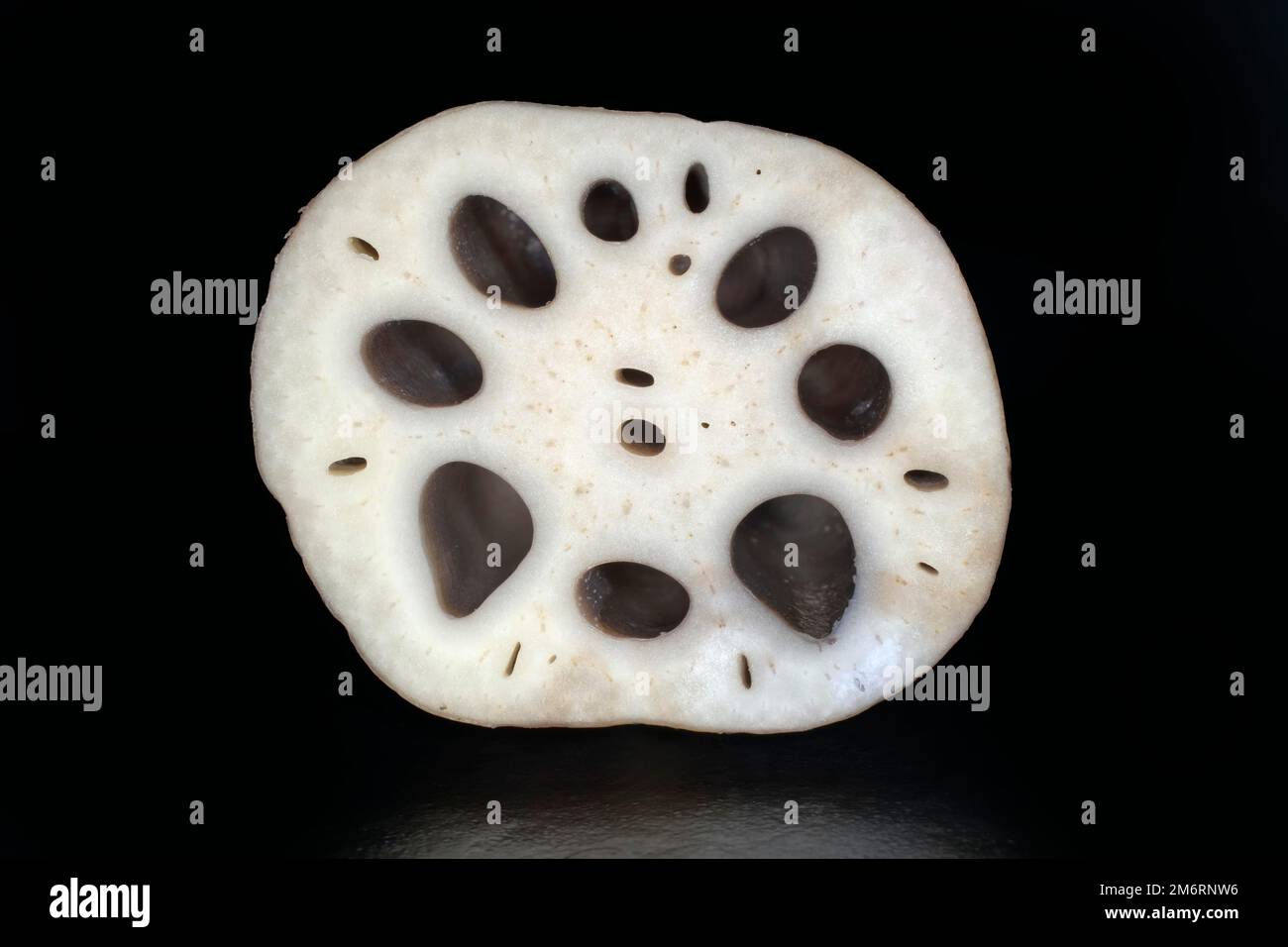 Sliced lotus root, food photography with black background Stock Photo ...