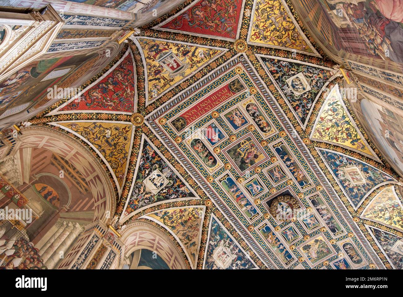 Piccolomini Library in Siena Cathedral, ceiling vault with frescoes on ...