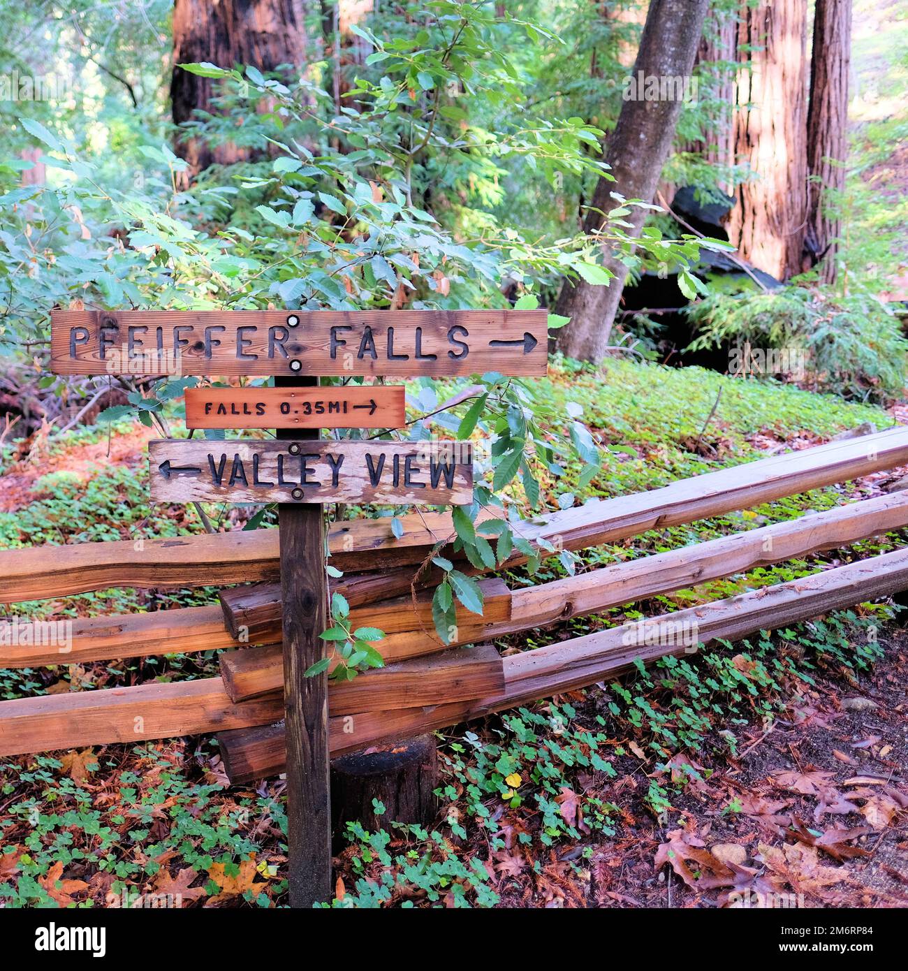 Hiking trail signs and markers at Pfeiffer Big Sur State Park in ...