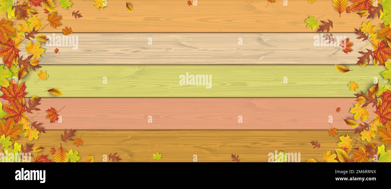 Autumn colors of foliage hi-res stock photography and images - Alamy