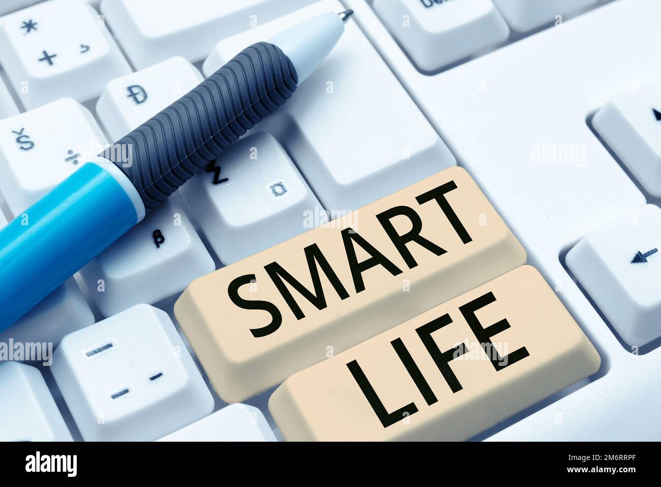 Conceptual display Smart Life. Business overview approach ...