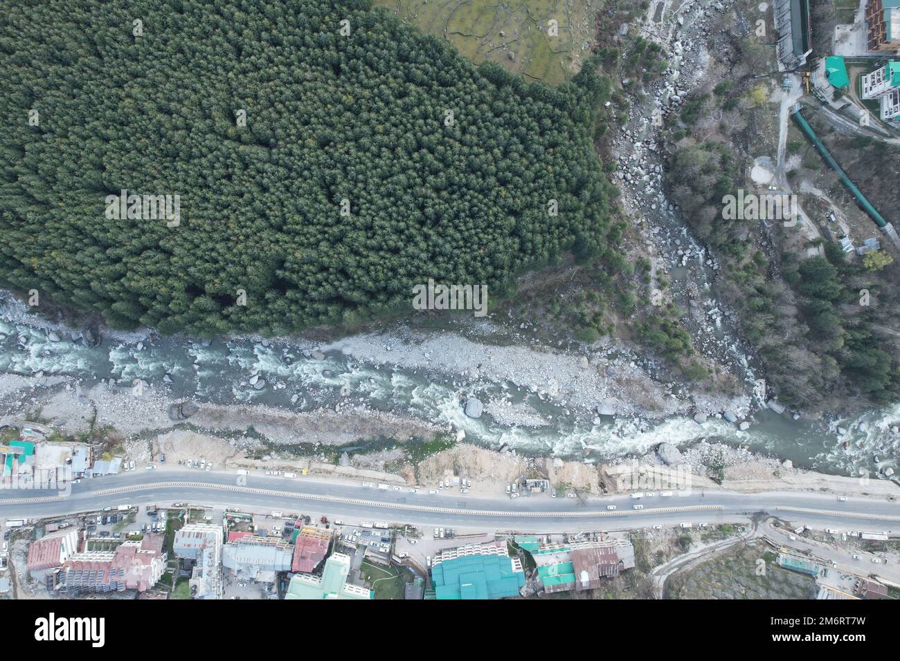 An aerial view of green forest trees near houses in the countryside of ...