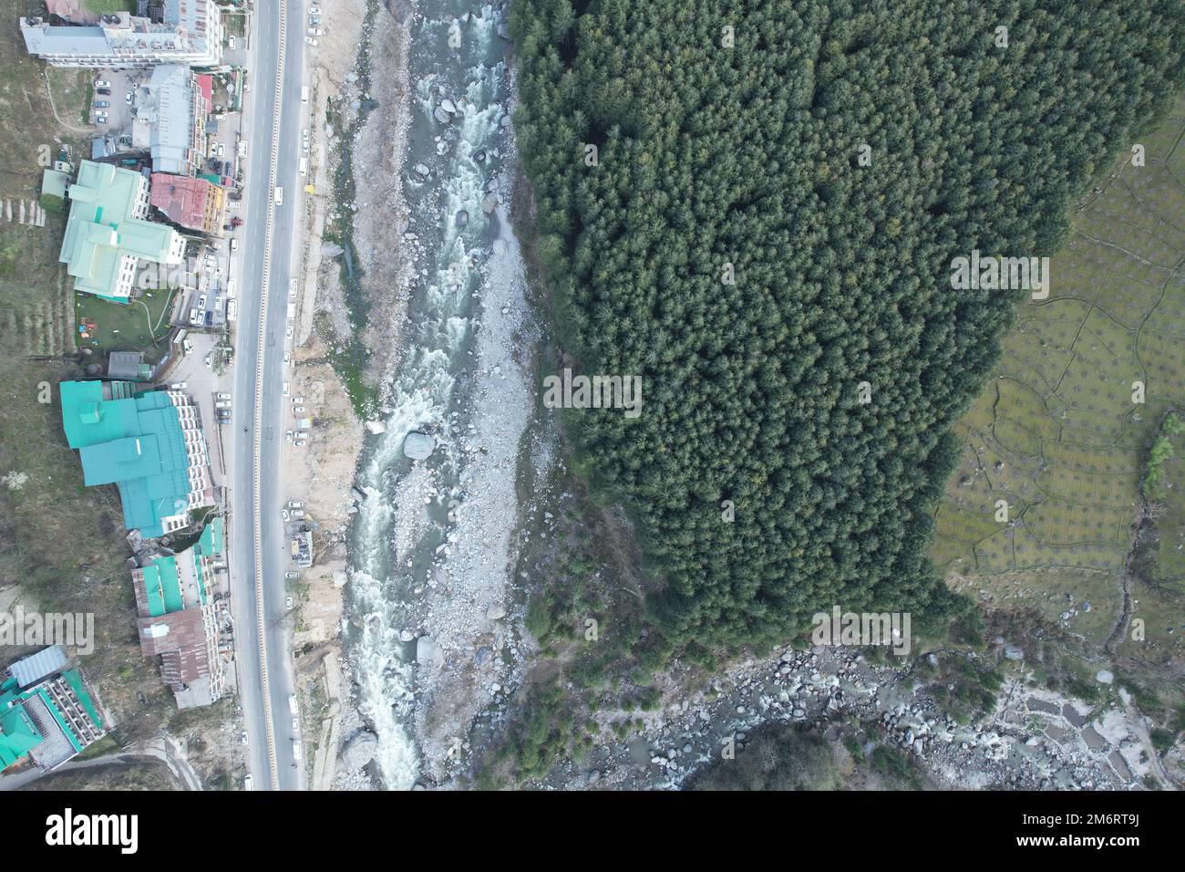 An aerial view of green forest trees near houses in the countryside of ...