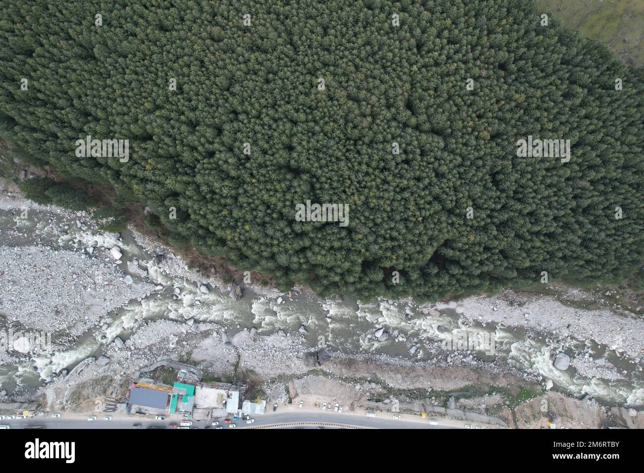 An aerial top view of green forest trees in rural Manali, India Stock ...