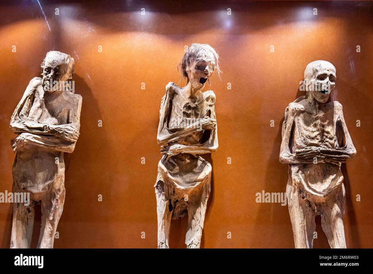 Mummy museum mexico hi-res stock photography and images - Alamy