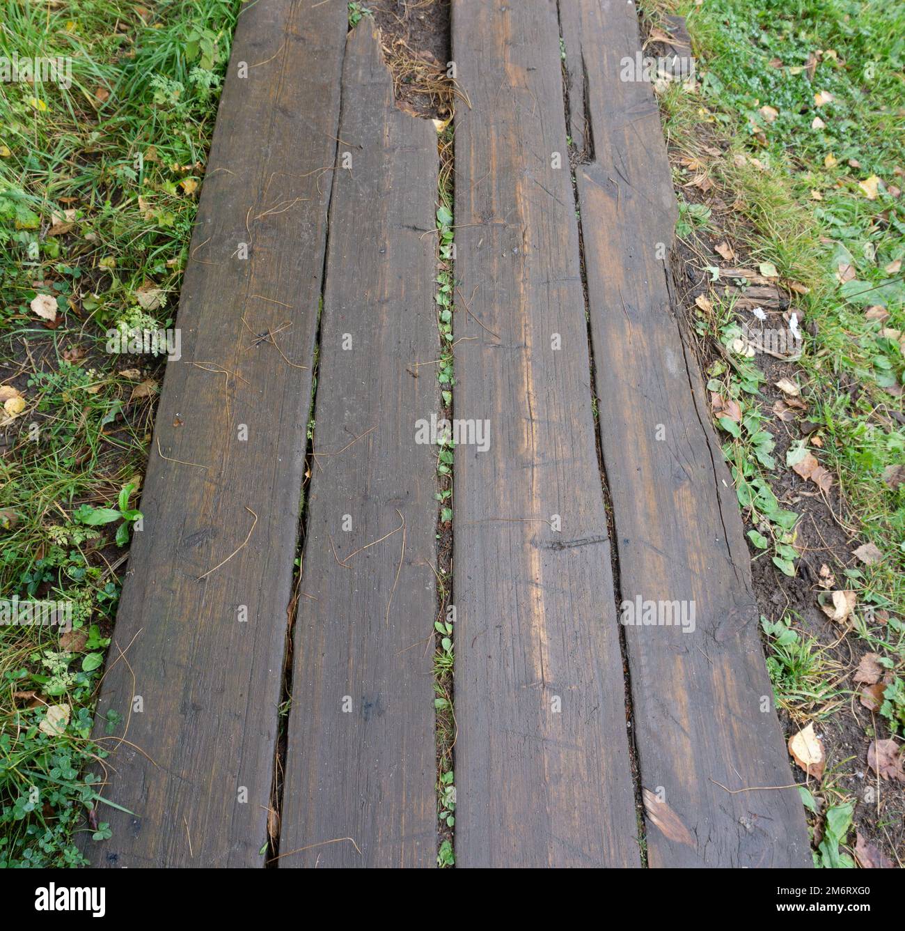 Rustic wooden walkways among green grass Stock Photo - Alamy