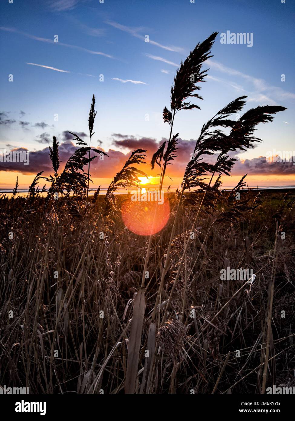 Wetlands sunset sunrise hi-res stock photography and images - Alamy