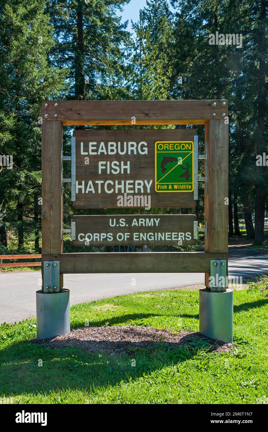 Shooting Fish Hatchery Road at Gabriel Basser blog