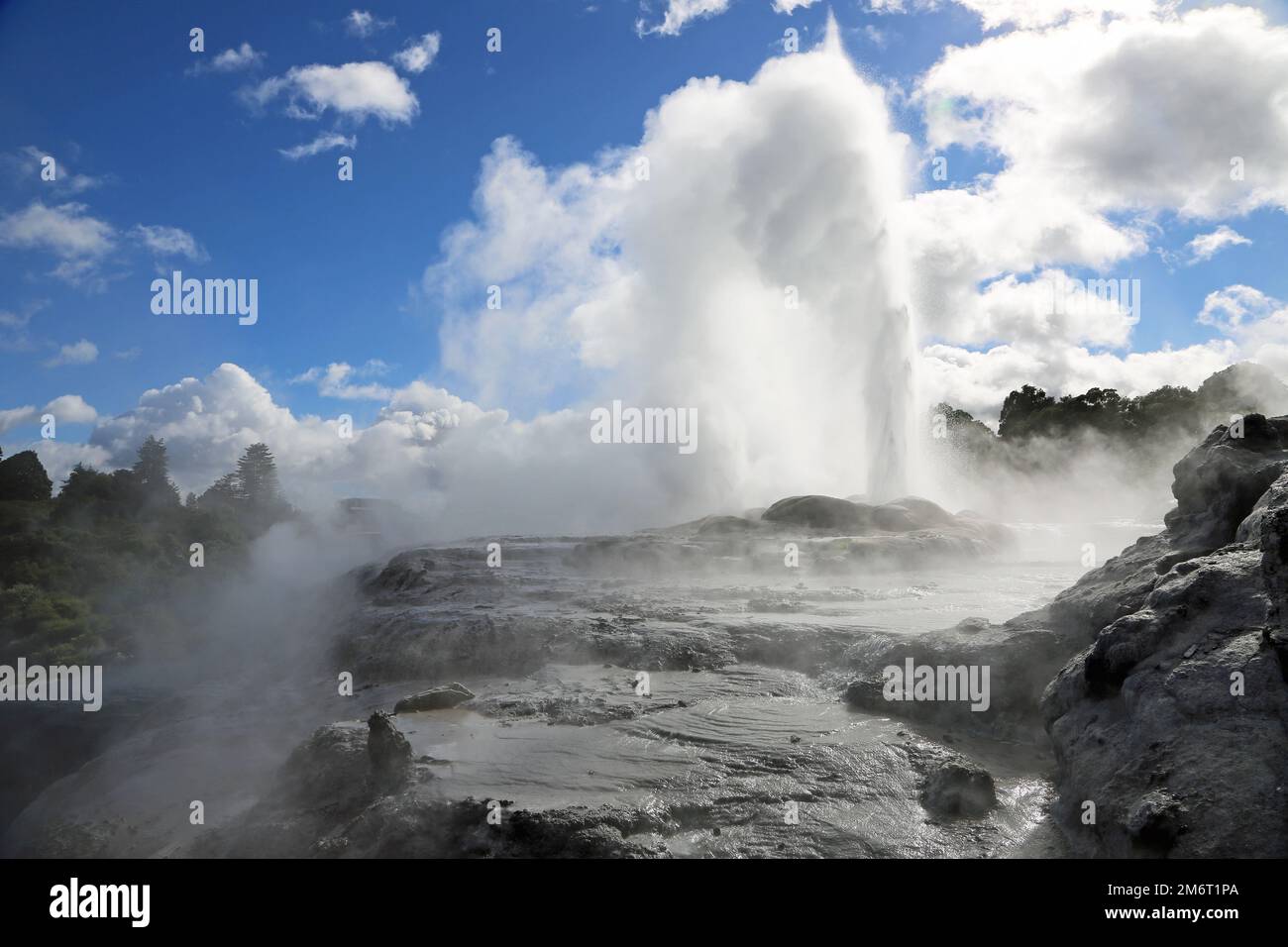 Geyser eruption new zealand hi-res stock photography and images - Alamy