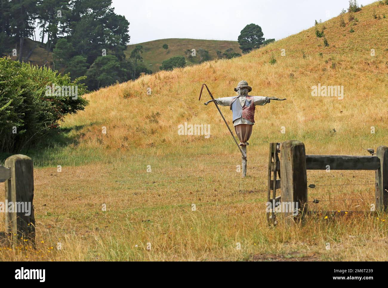 Scarecrow hi-res stock photography and images - Alamy