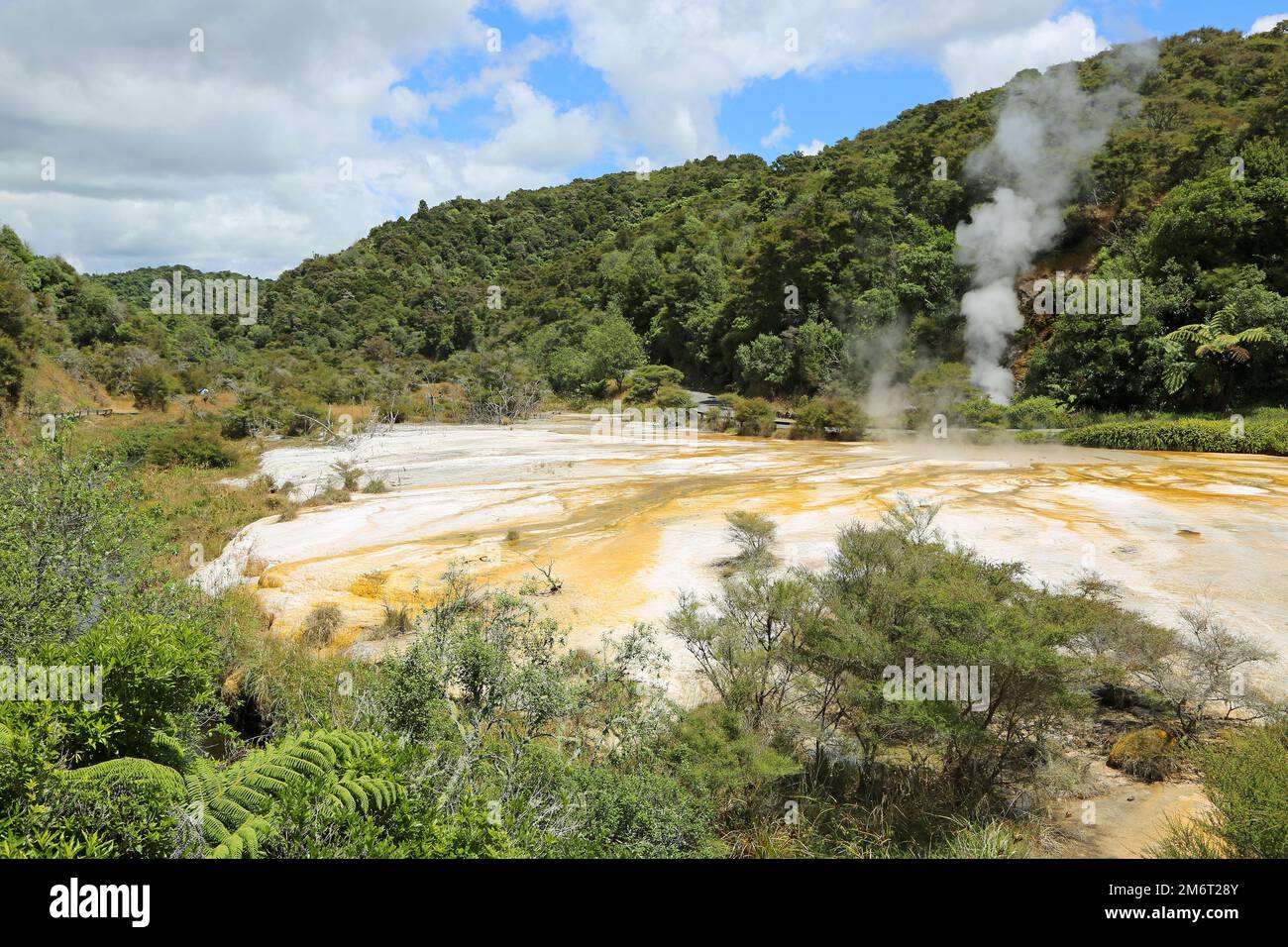 Waimangu volcanic reserve hi-res stock photography and images - Alamy