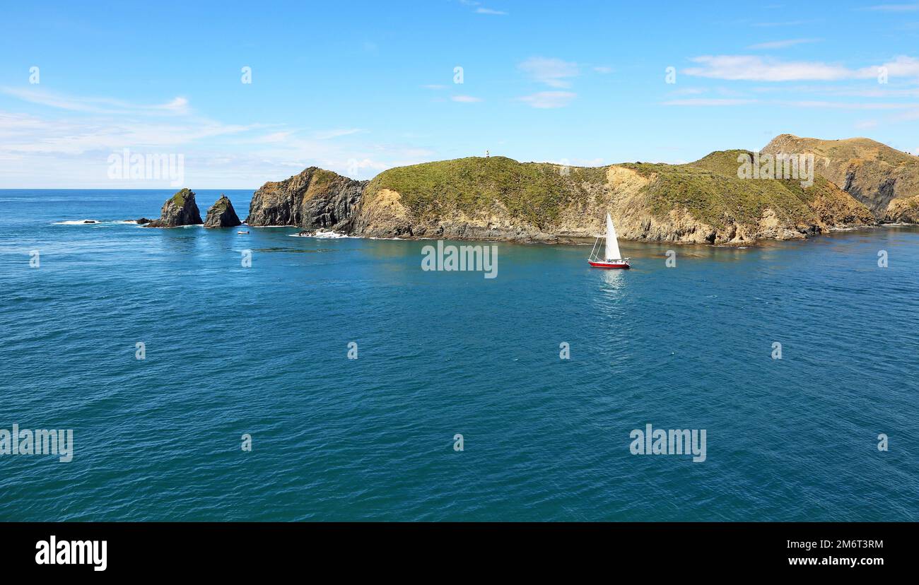 Sailing to the ocean - Tory Channel - New Zealand Stock Photo - Alamy