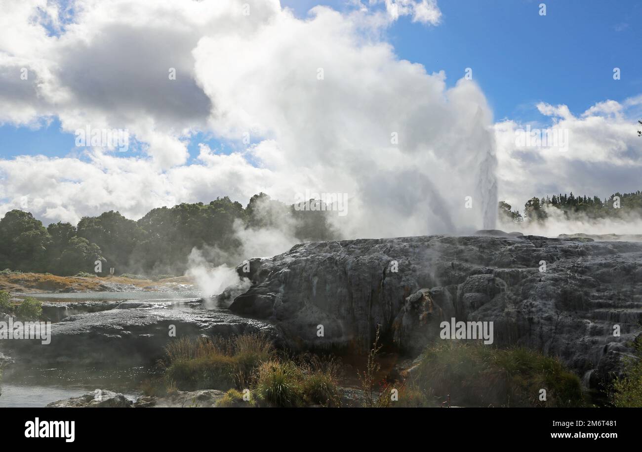 Pohutu geysers eruption - New Zealand Stock Photo - Alamy