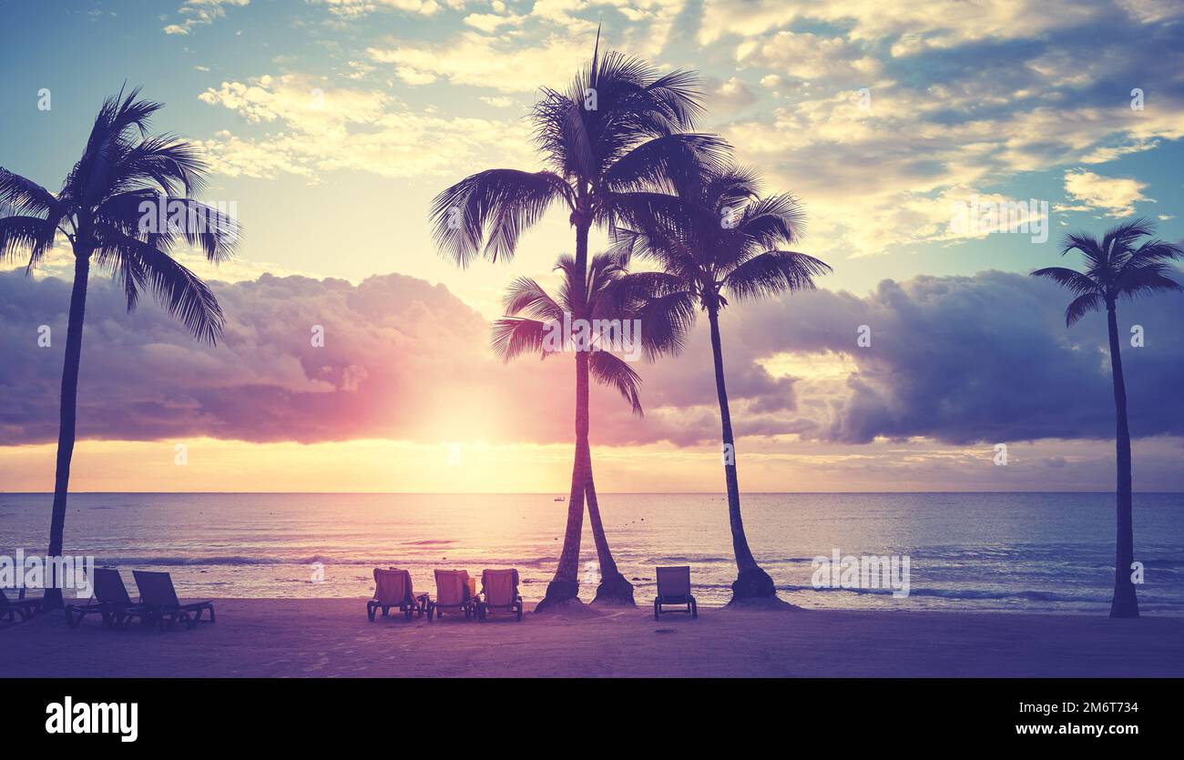 Caribbean Tropical Colors