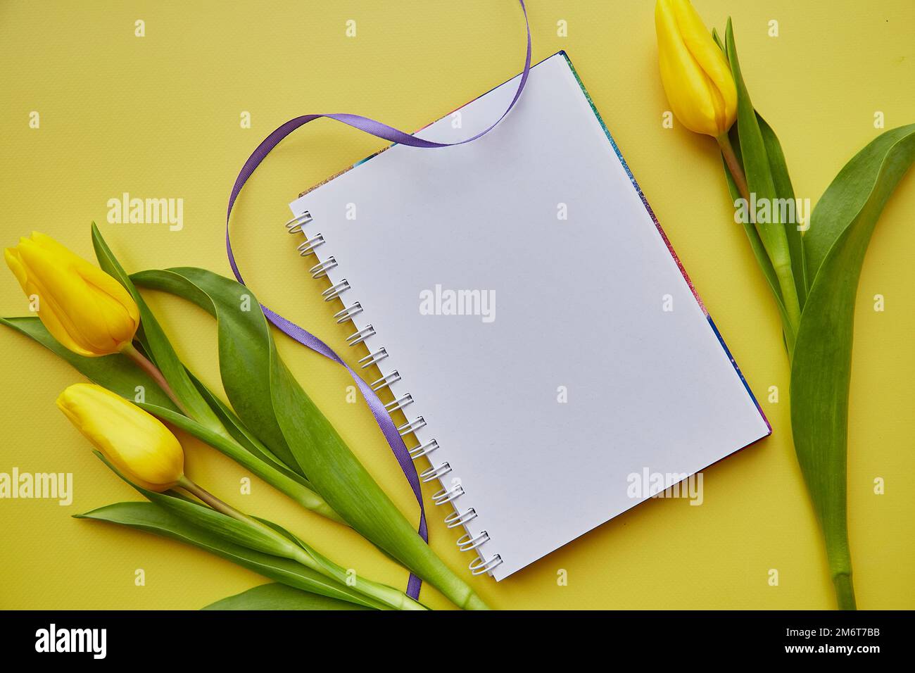 Spring yellow tulips and notepad mock up. Romantic, birthday, mother's ...