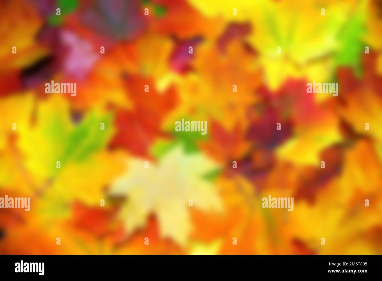 Design of vibrant leaves hi-res stock photography and images - Alamy