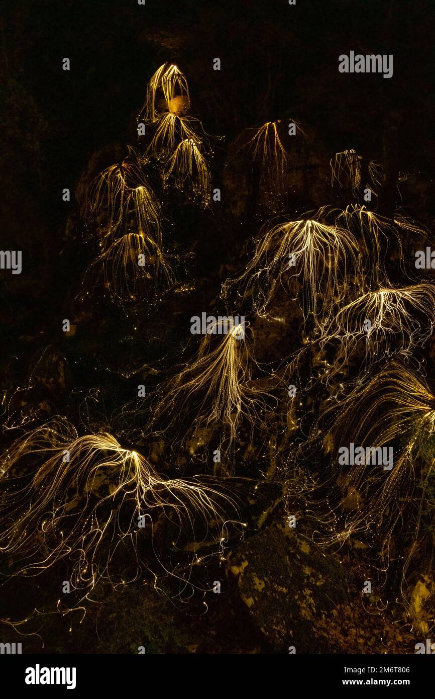 Dark threads hi-res stock photography and images - Alamy