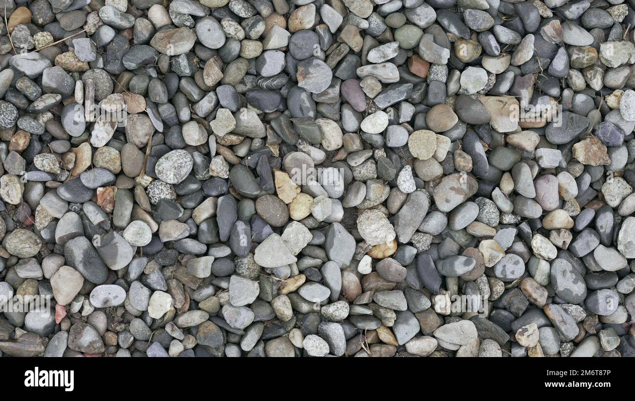 Diverse natural patterns hi-res stock photography and images - Alamy
