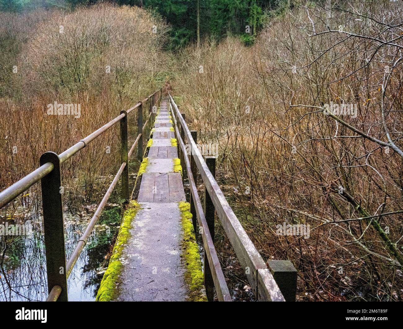 Footbridge at Trenchford Reservoir, Dartmoor National Park, Devon, UK ...
