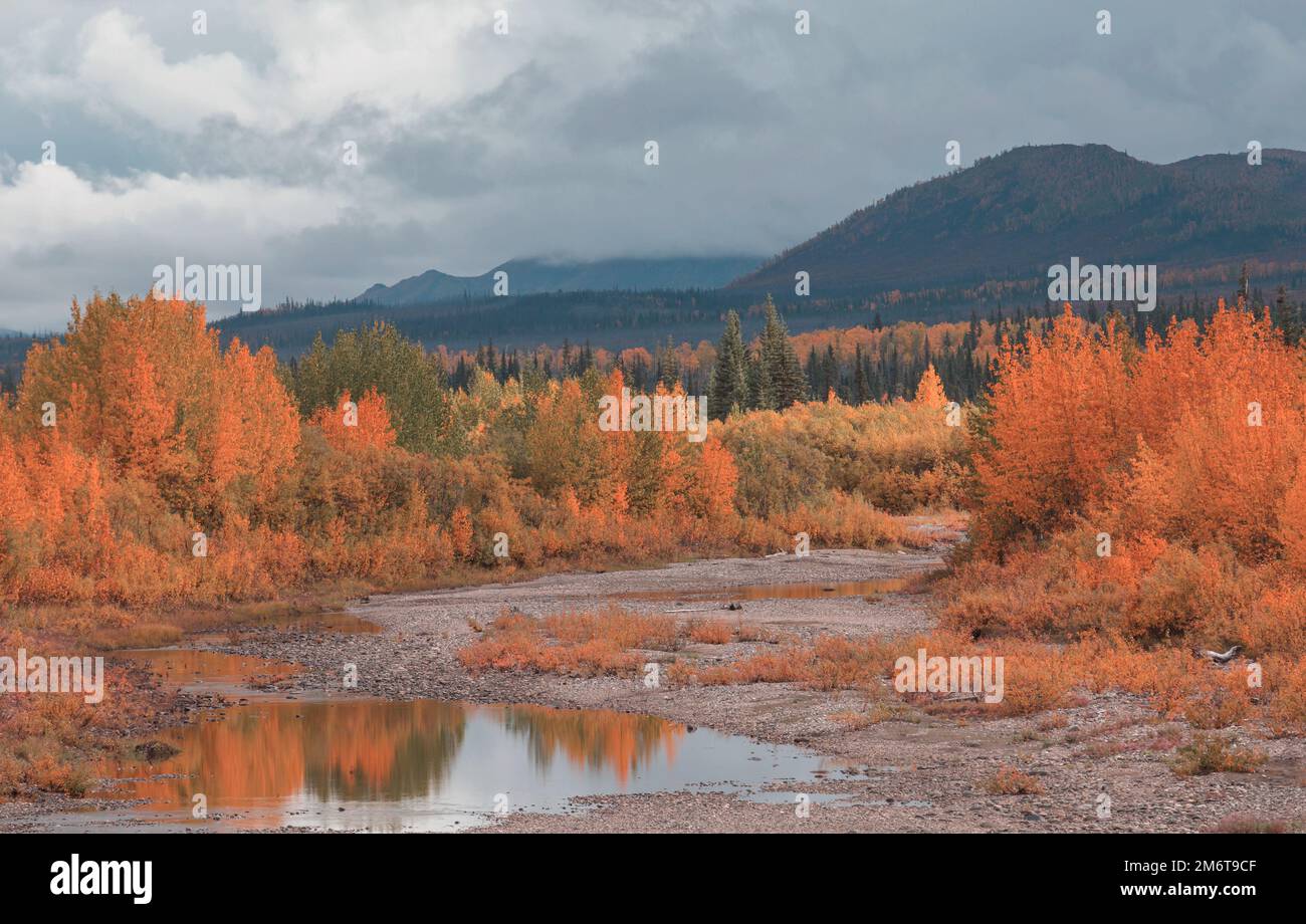Autumn in Alaska Stock Photo - Alamy