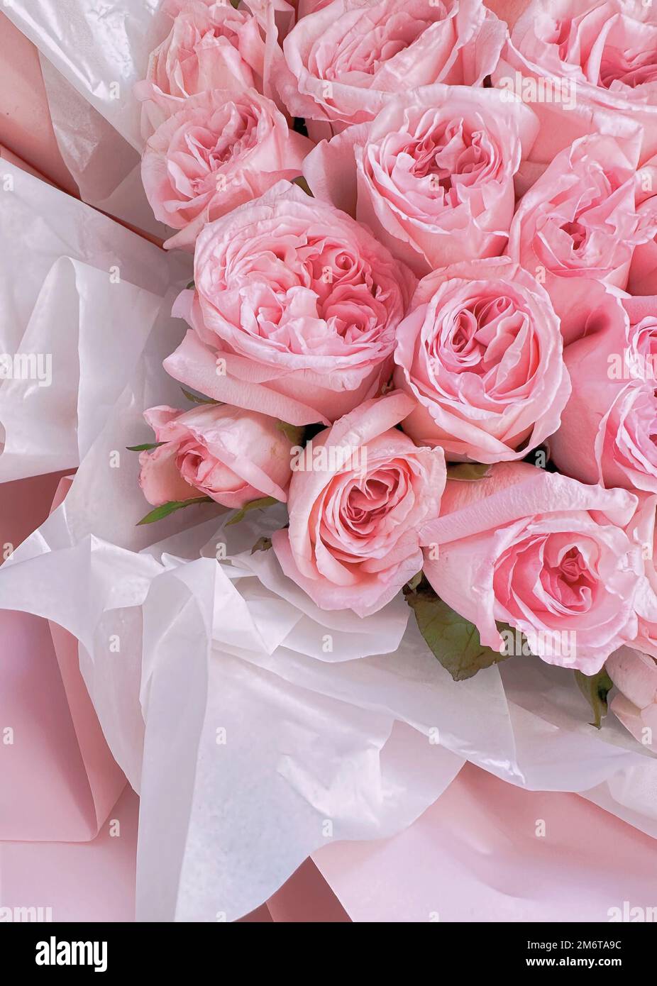 A vertical shot of a bouquet of pink roses Stock Photo - Alamy